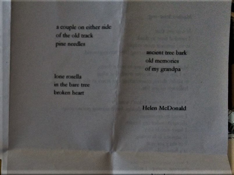 Poetry for Public Transport – Elwood Writers